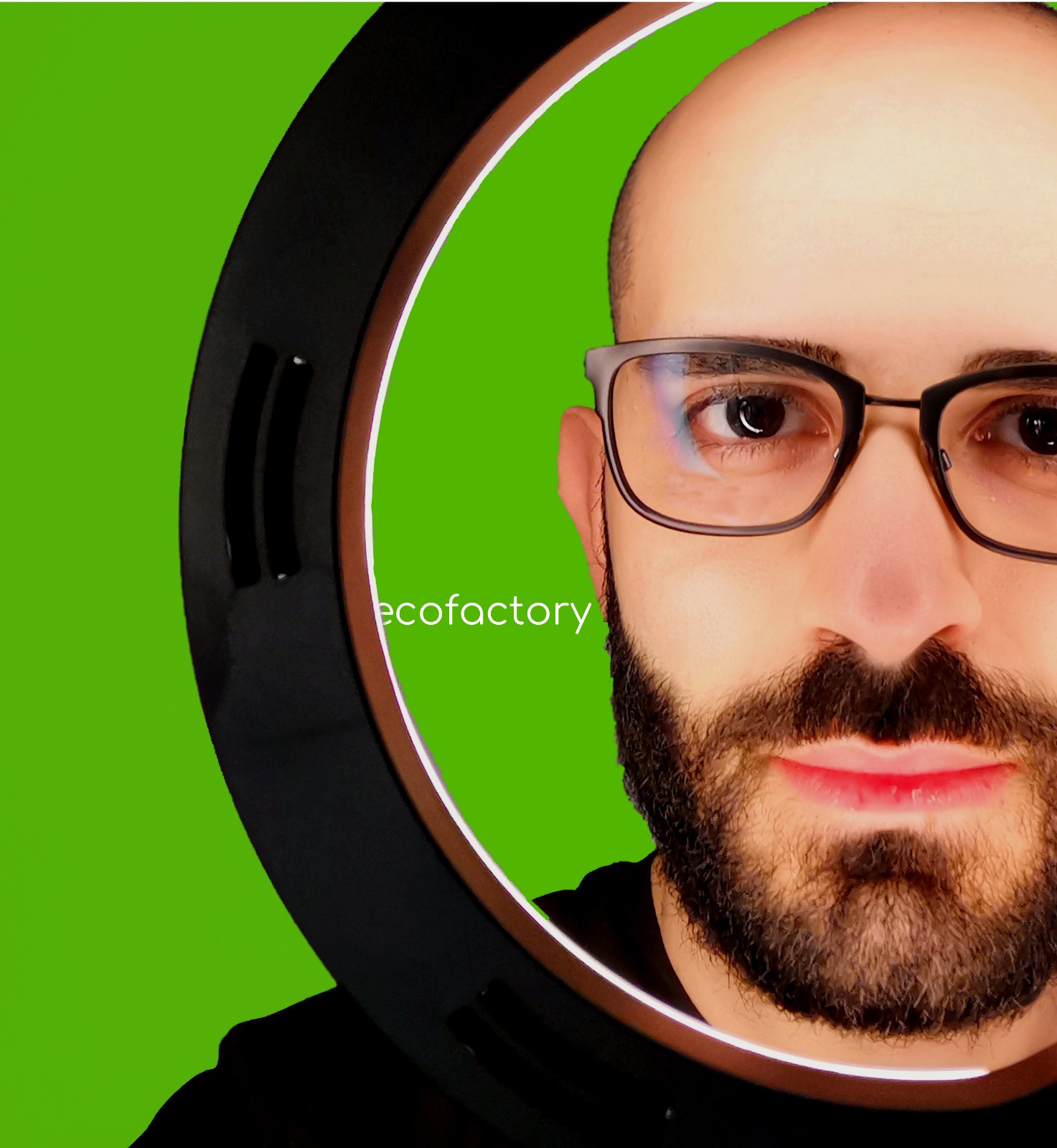 Pianta un albero con un click, la scommessa di Ecofactory per aiutare l'ambiente - imgpress