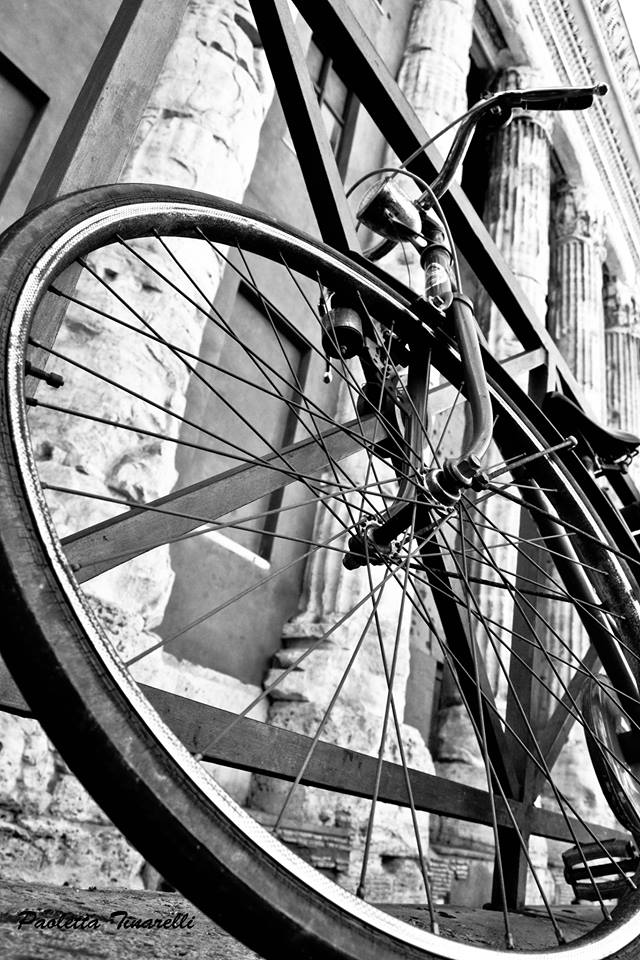 1381872_478437395588172_2018107337_n - imgpress