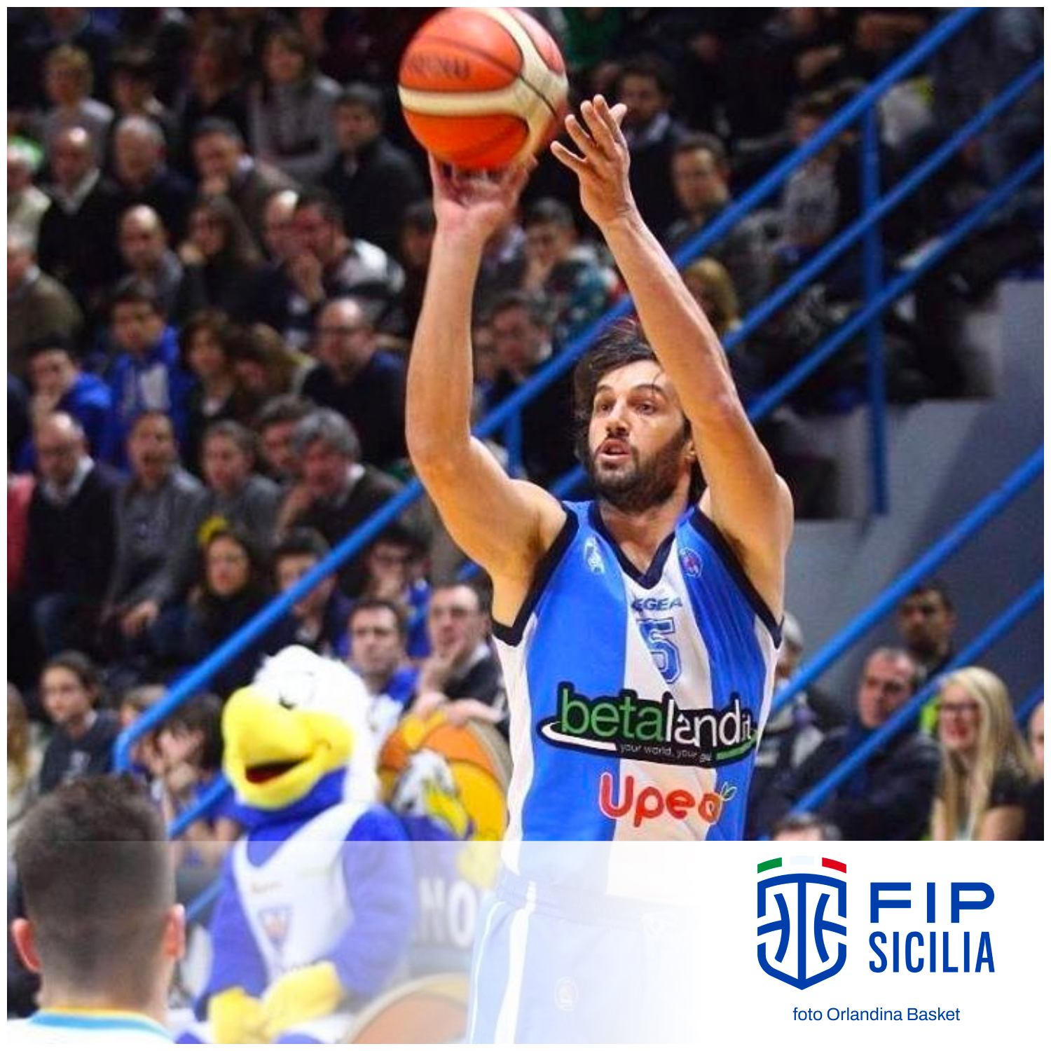 BASKET SICILIA: GIANLUCA BASILE OSPITE AL PALERMO SPORT TOURISM ARENA ...