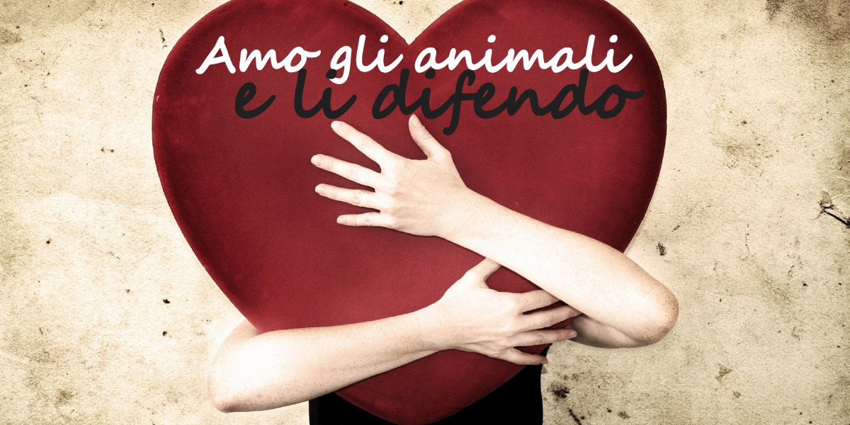 CAVALLI SFRUTTATI FINO ALLA MORTE IN TUTTA ITALIA. LNDC ANIMAL ...