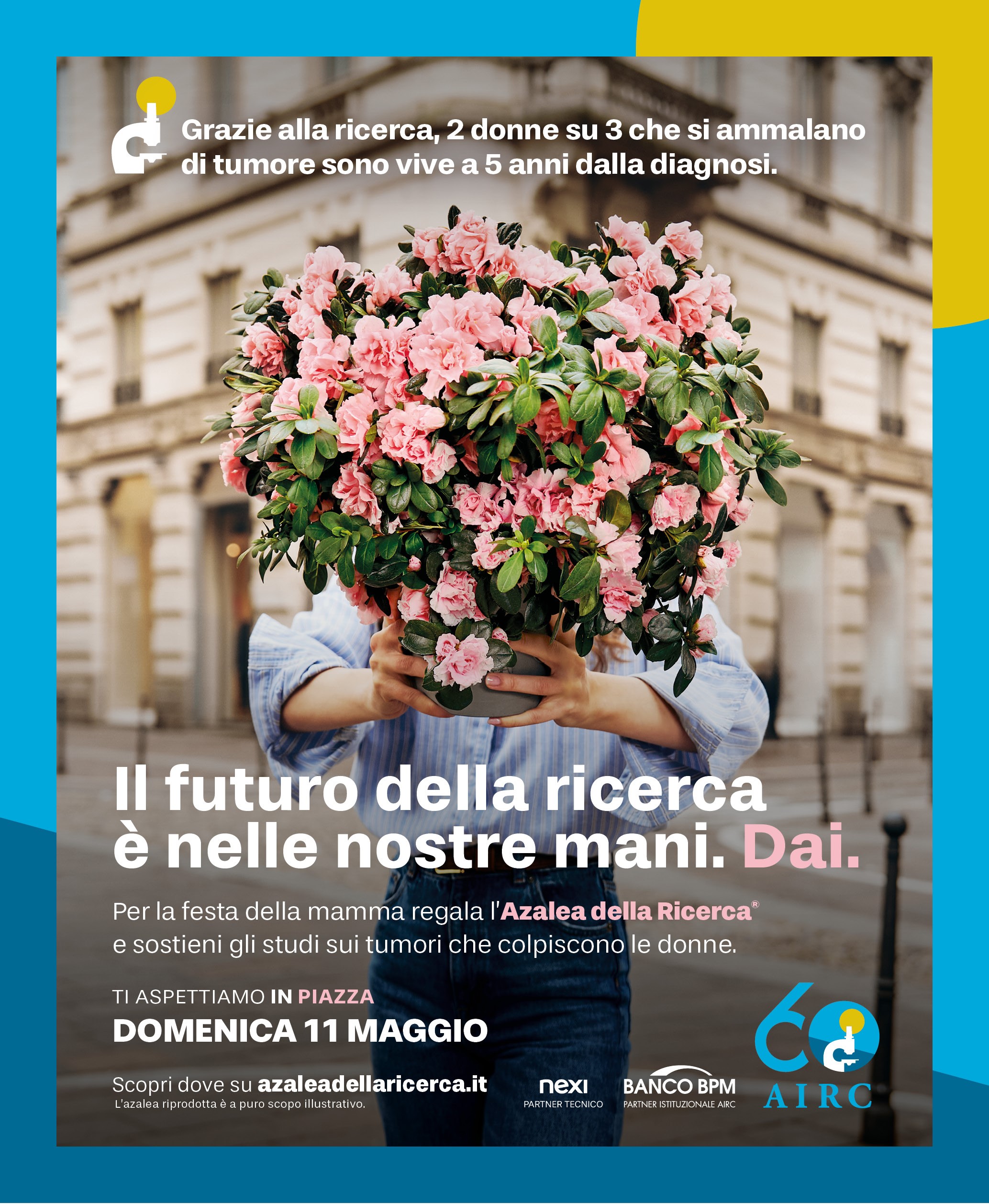 L'Azalea della Ricerca di Airc sboccia in Piazza Duomo contro i tumori ...